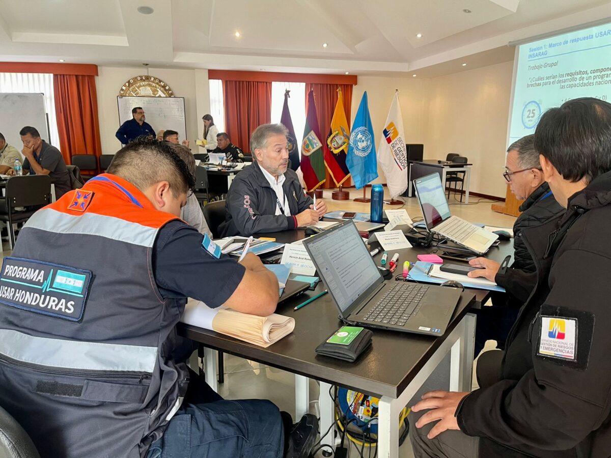 IRNAP Course for TSG/TRG Experts – INSARAG